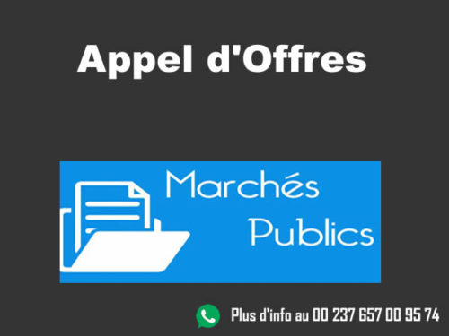 Les différents types d'appels d'offres